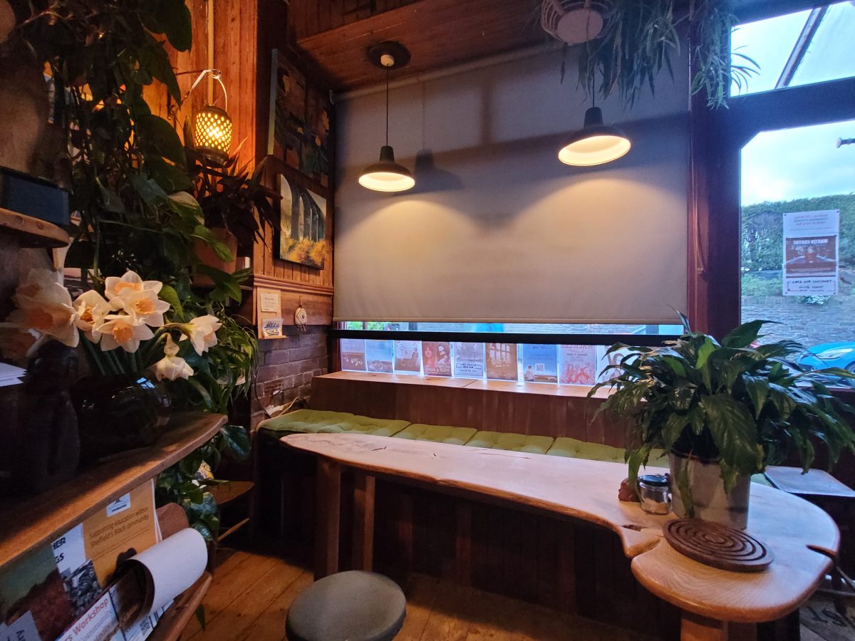 3rd April 2024 - Daria Kulesh at Cafe #9, Sheffield - Folk & Horror Phenomena